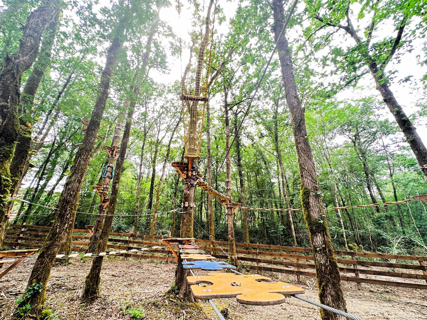 Accrobranche Amou | Vivez l'adrénaline dans les Arbres